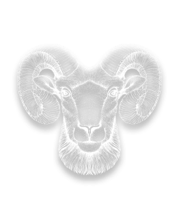 Signe du Bélier : portrait astrologique et traits de caractère